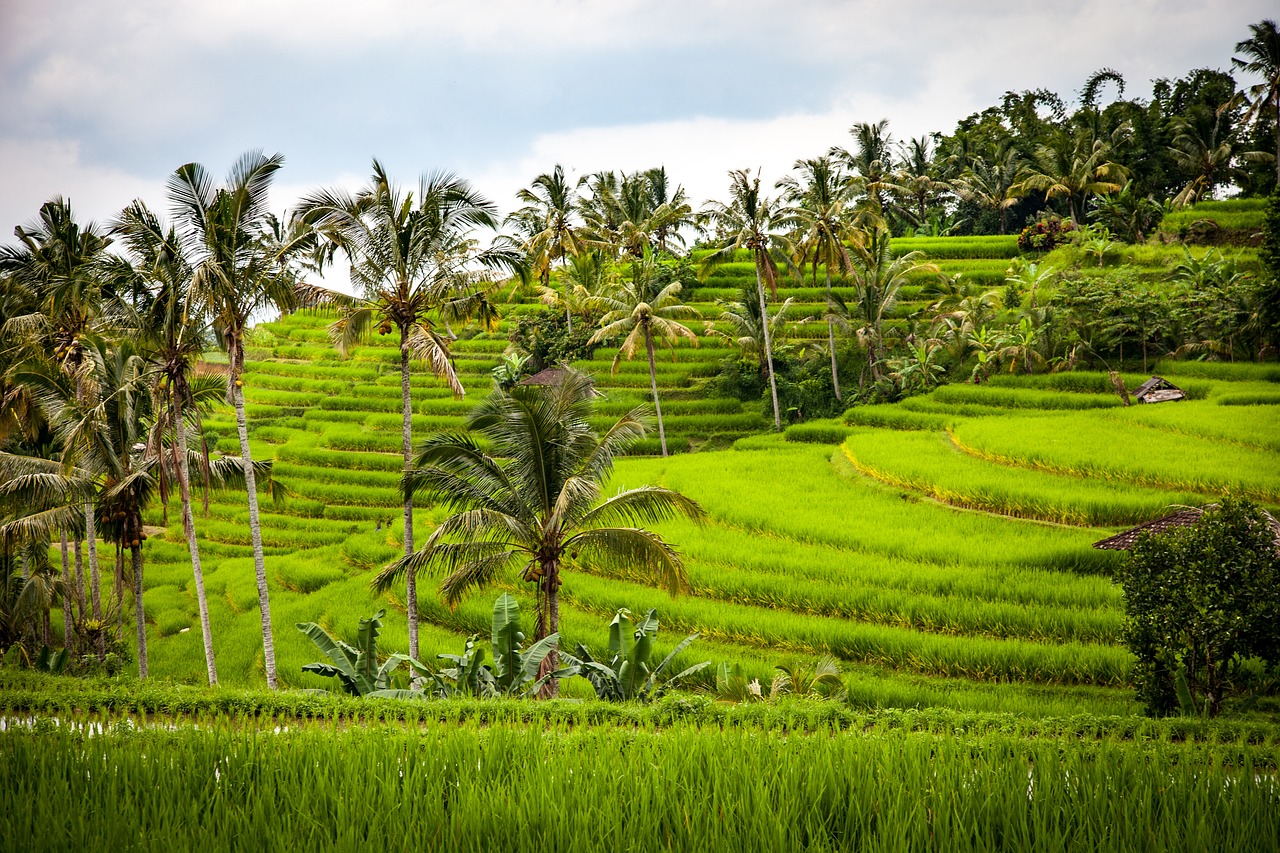 SÚPER GUÍA para viajar a BALI por libre [100% DETALLADA] | Viajes y Tips